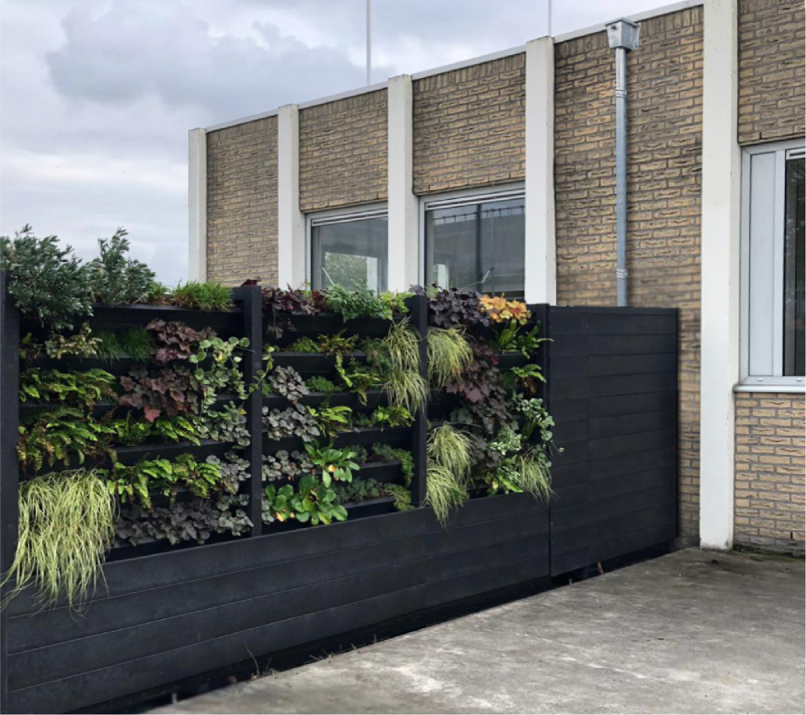 De Groene Water Wand